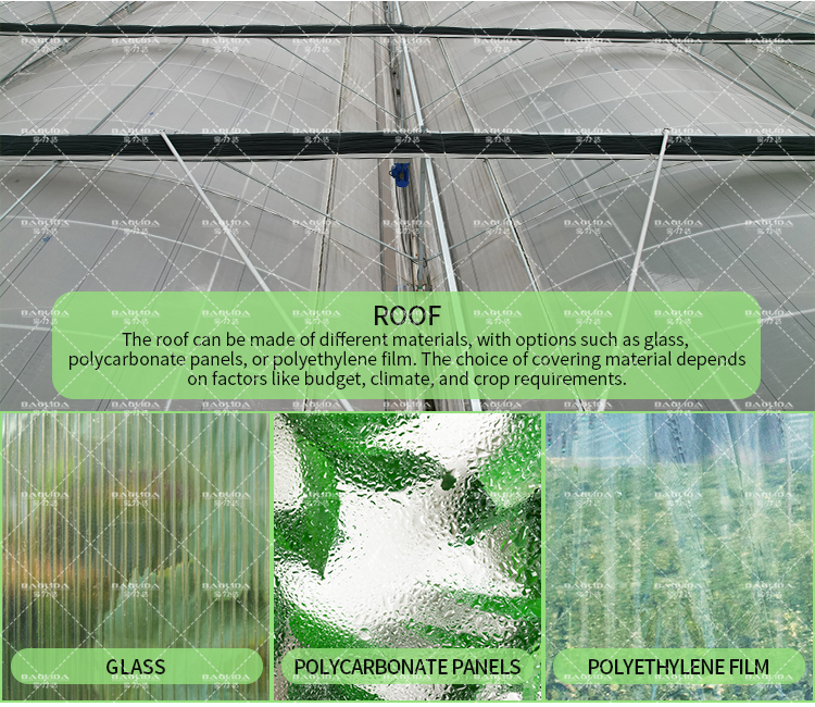 Coordinated 24x40m Ventilation Walk in Hothouse Kit Conservatory ...