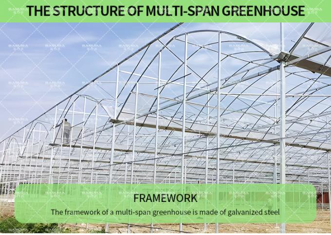 Continuous Structure Multiple Bays Connected Multi Span High Tunnel ...