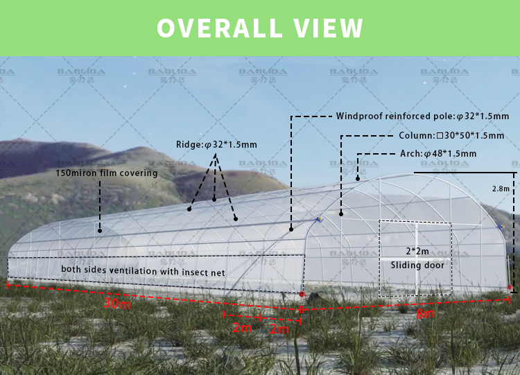 10x50m Polytunnel Berry Poly High Tunnel Greenhouse Film Tunnel ...