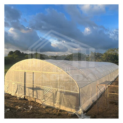 Metal Frame Covered Outdoor 6x15m Agricultural Commercial Green House ...