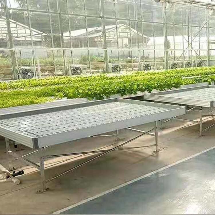 Plant Growing Greenhouse Accessories 4'×8' 4'×10' Ebb And Flow Rolling ...