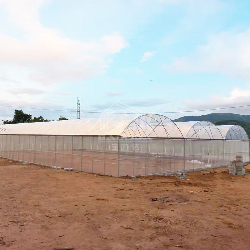 Coordinated 24x40m Ventilation Walk in Hothouse Kit Conservatory ...