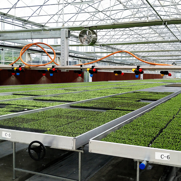 Seedbed Table Galvanized Steel Frame PE Plastic Film Large Conneted ...