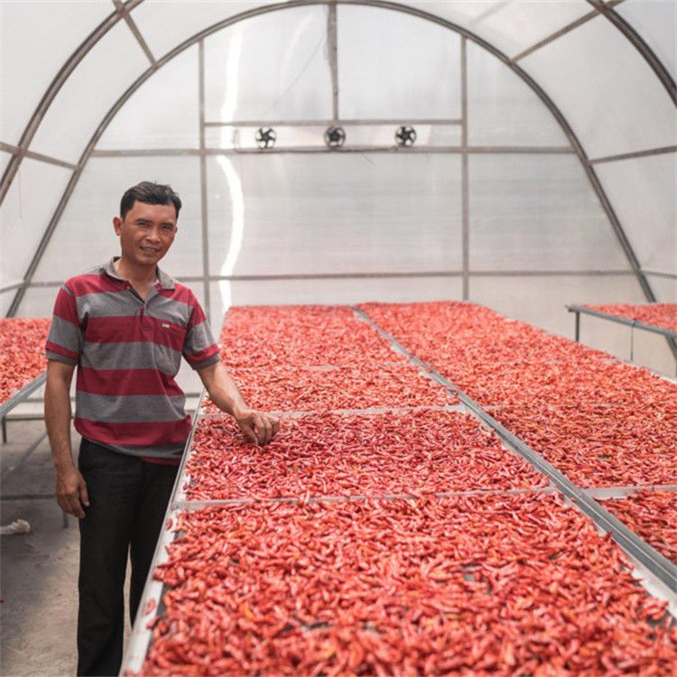 8x20m Sun Dryer Green House Solar Drying Greenhouse For Fish Fruit 4.0 ...