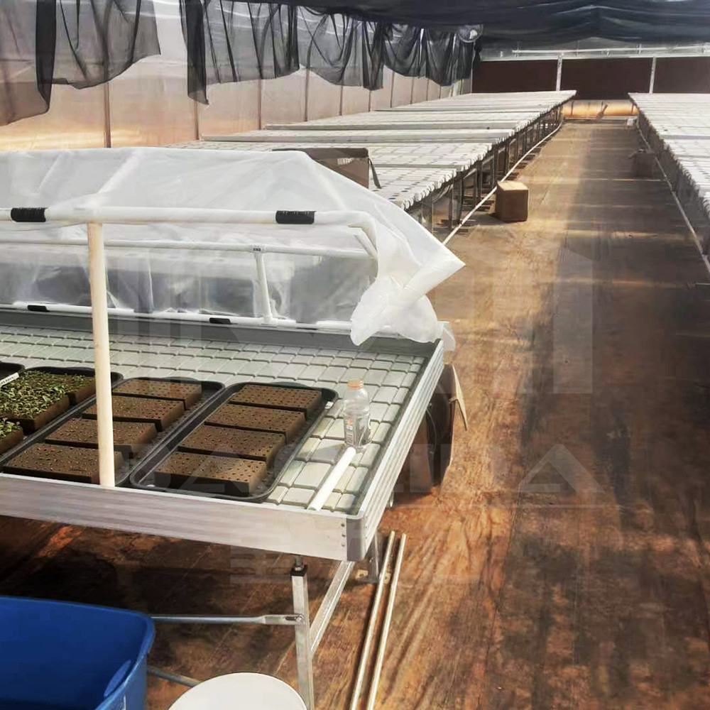 Metal Frame Hothouse Vegtable Hoop House High Tunnel Greenhouse with ...