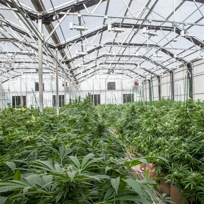 Ventilation System Polycarbonate Greenhouse PC Herbs Greenhouses With ...