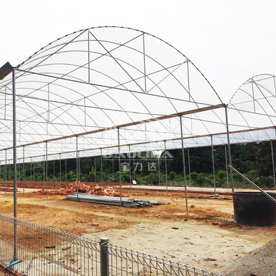Continuous Structure Multiple Bays Connected Multi Span High Tunnel ...